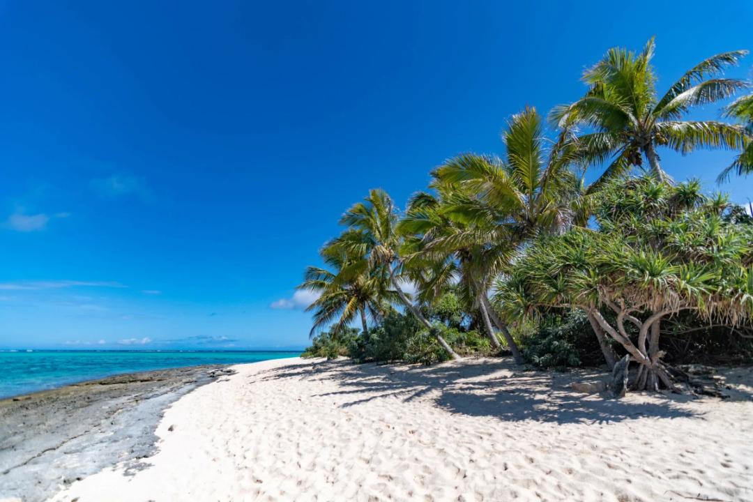 Quantum Pacific Escape | Ecruising.Travel